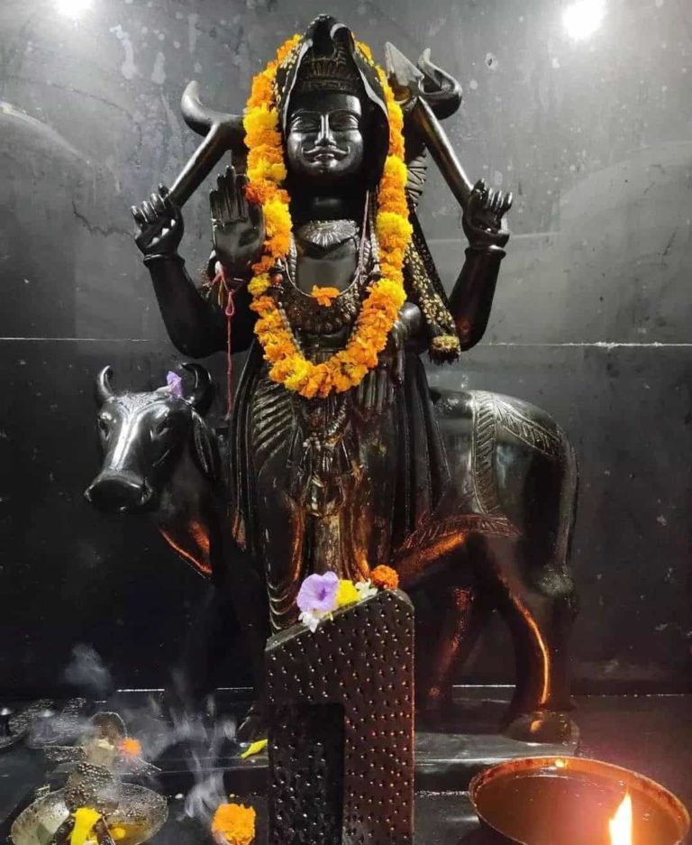 [100+] Shani Dev Image, Photo, Pic & Wallpaper (HD)