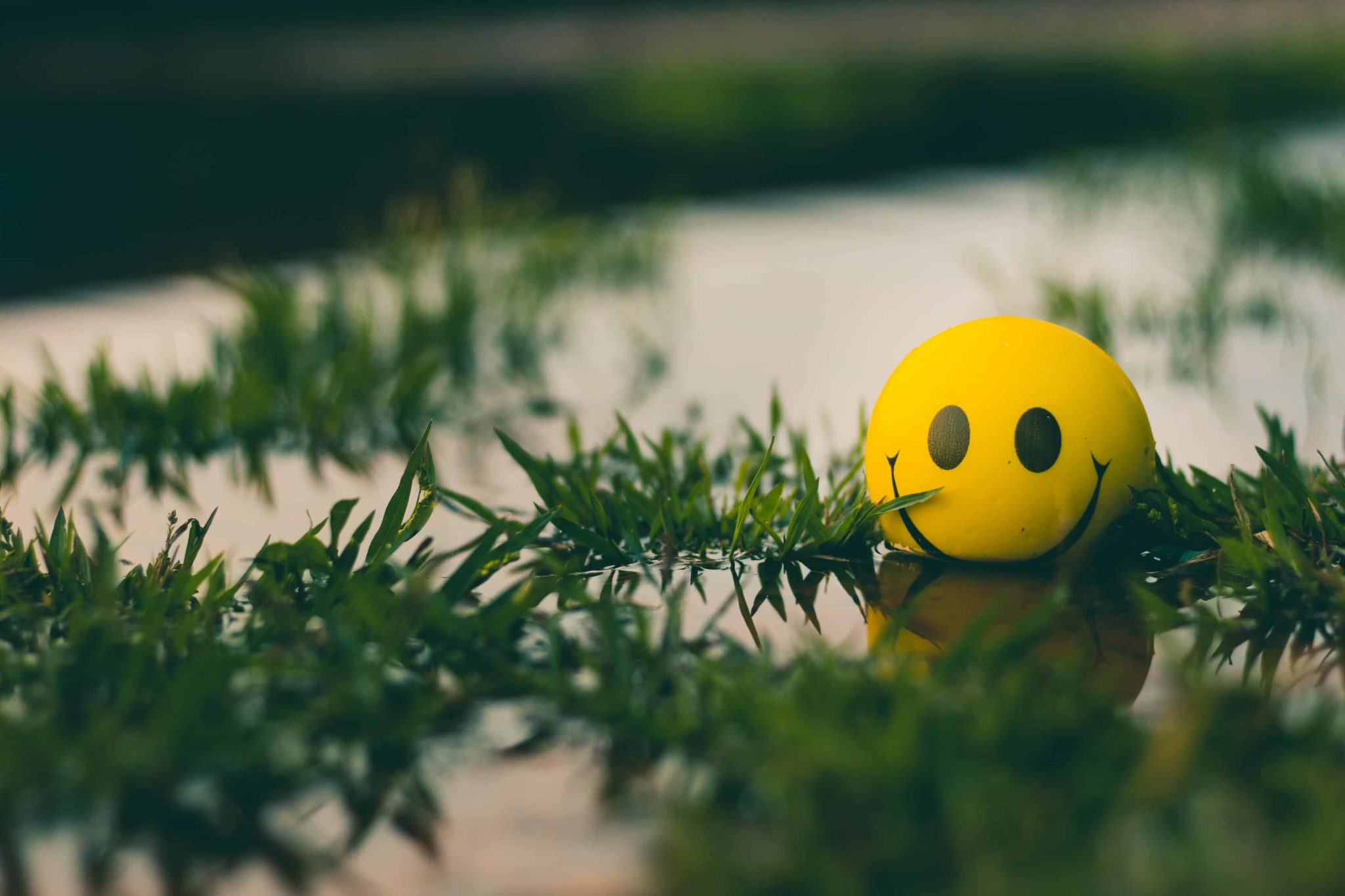 [60+] Smile Whatsapp DP, Images, Photo & Pic (HD)