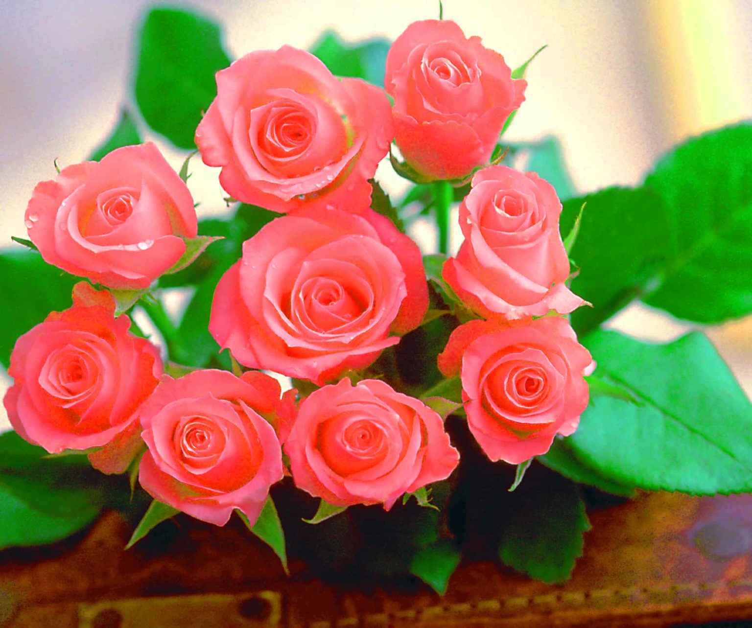 [100+] Flowers DP for Whatsapp & Instagram (HD)