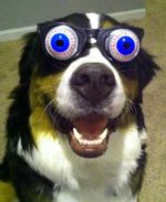 [50+] Funny Whatsapp DP, Images, Pic & Photo (HD)