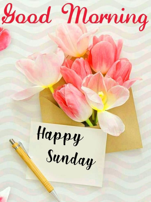 [60+] Happy Sunday Images, Pic, Photo & Wallpaper (HD)