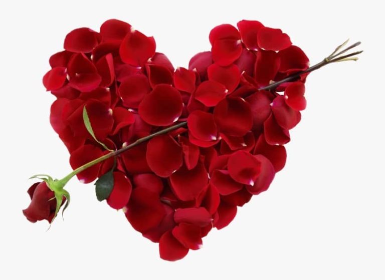 [50+] Heart Whatsapp DP, Photo, Pic, Images (HD)