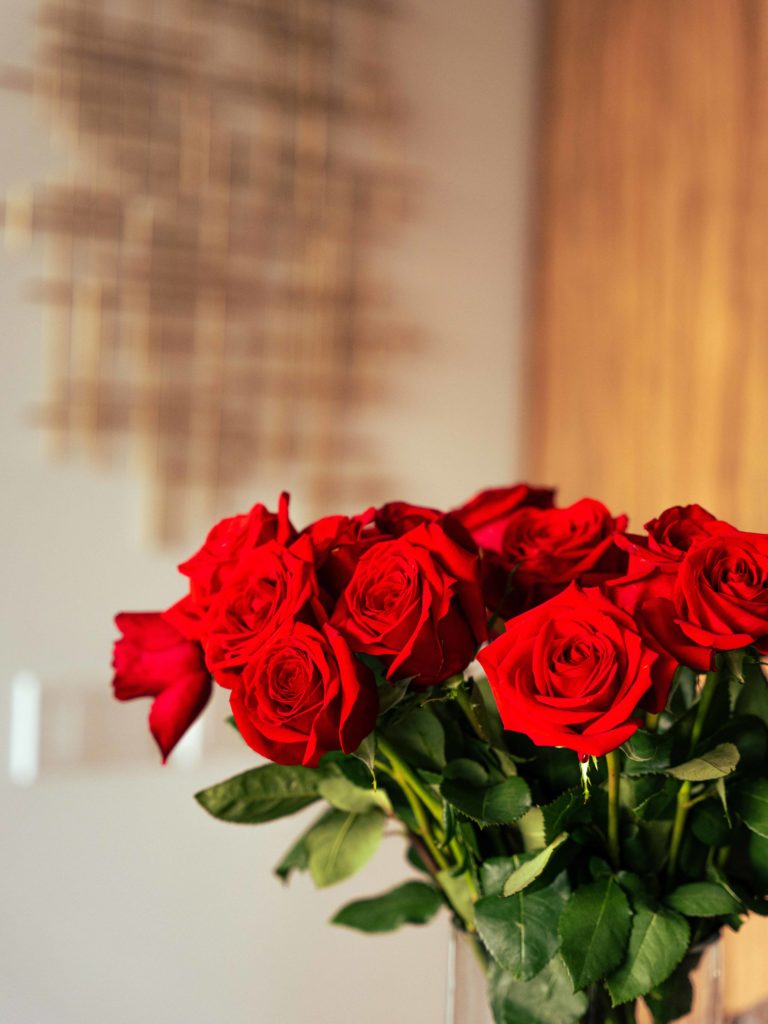 [50+] Rose DP for Whatsapp & Instagram (HD)