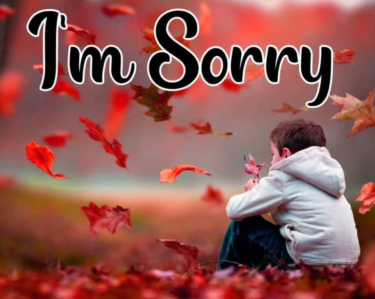 [100+] I Am Sorry Image, Pic, Photo & Picture (HD)