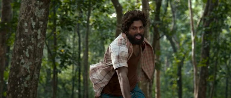 [50+] Pushpa Photos, Images, Pics & Wallpaper (HD) - PhotosFile