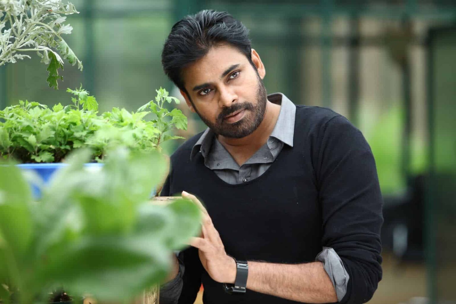 [60+] Pawan Kalyan Photos, Images, Pics & Wallpaper (HD)