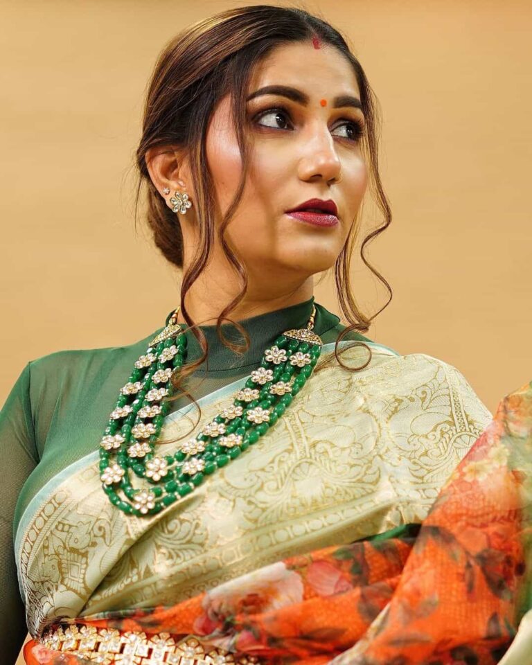 [50+] Sapna Choudhary Photo, Images, Pics & Wallpaper (HD)