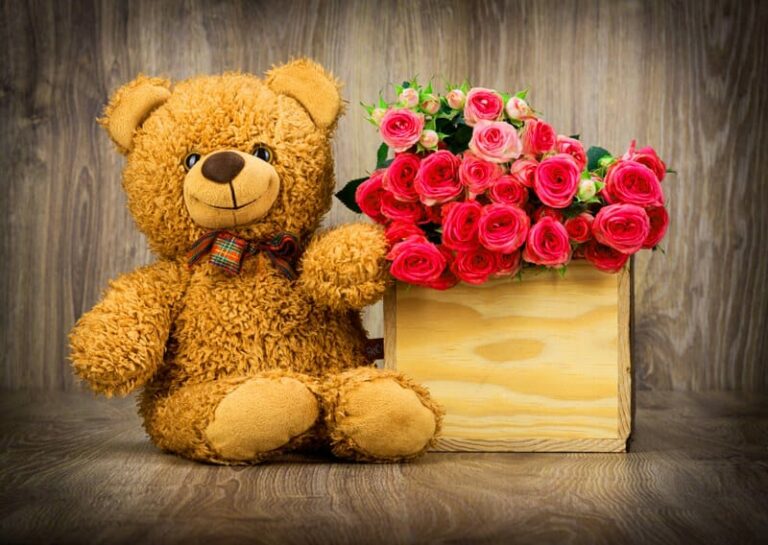 [90+] Teddy Bear DP for Whatsapp & Instagram (HD) - PhotosFile