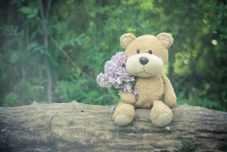 [90+] Teddy Bear DP for Whatsapp & Instagram (HD) - PhotosFile