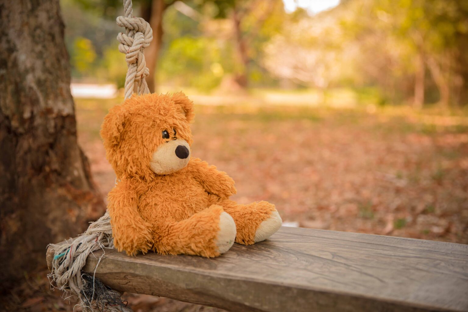 [90+] Teddy Bear DP for Whatsapp & Instagram (HD) - PhotosFile