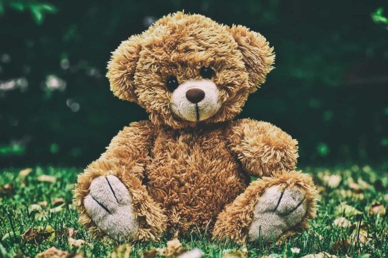 [90+] Teddy Bear DP for Whatsapp & Instagram (HD) - PhotosFile