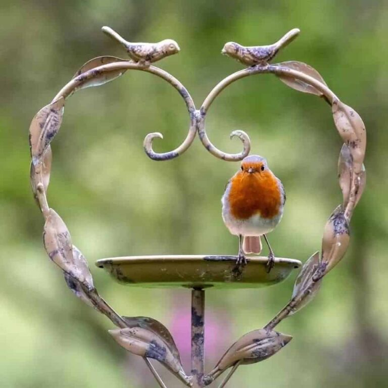 [70+] Aesthetic DP for Instagram & Whatsapp (HD) - PhotosFile