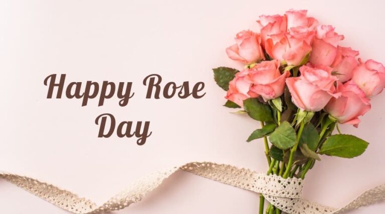 [50+] Rose Day Images 2023, Photos, Pics & Wallpaper (HD)