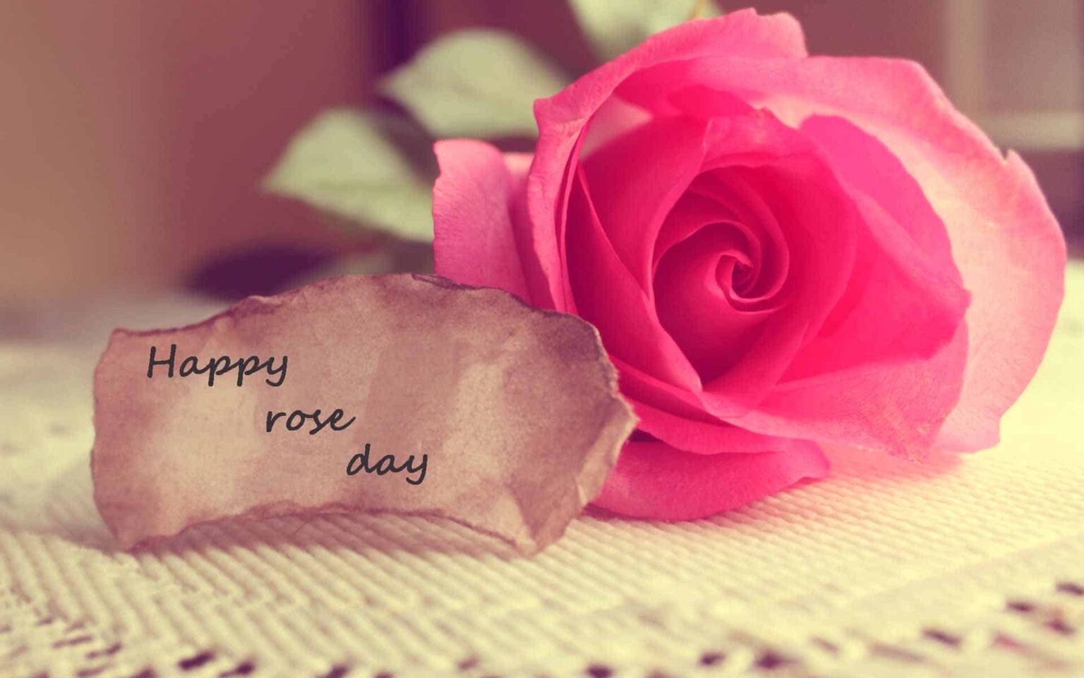 [50+] Rose Day Images 2023, Photos, Pics & Wallpaper (HD)