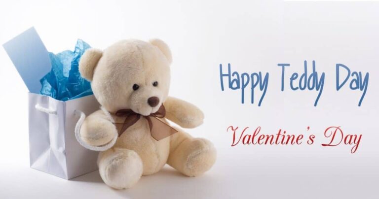 [70+] Teddy Day Images 2023, Photos, Pics & Wallpaper (HD)