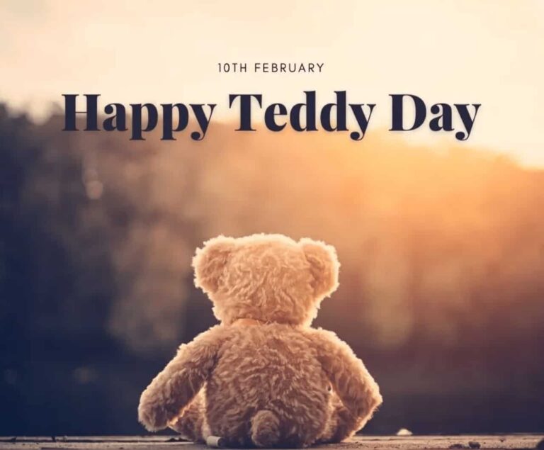 [70+] Teddy Day Images 2023, Photos, Pics & Wallpaper (HD)