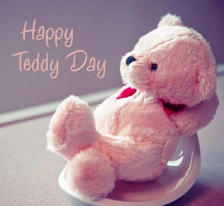 [70+] Teddy Day Images 2023, Photos, Pics & Wallpaper (HD)