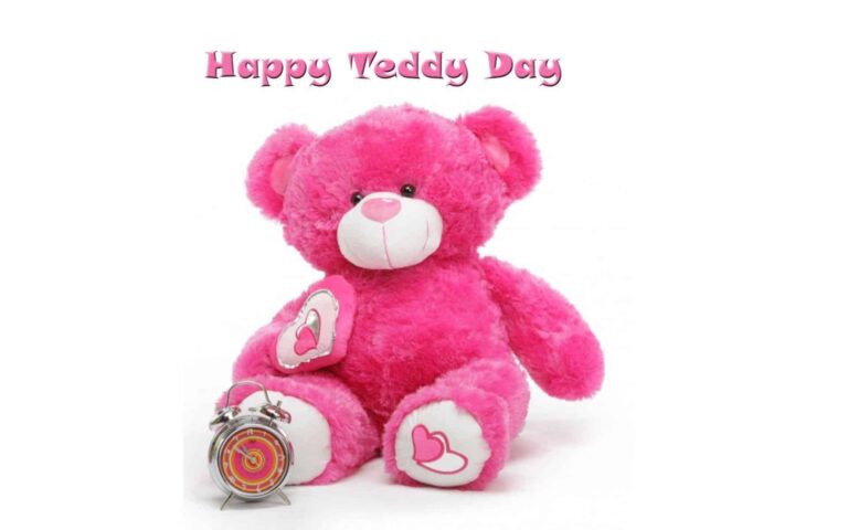 [70+] Teddy Day Images 2023, Photos, Pics & Wallpaper (HD)