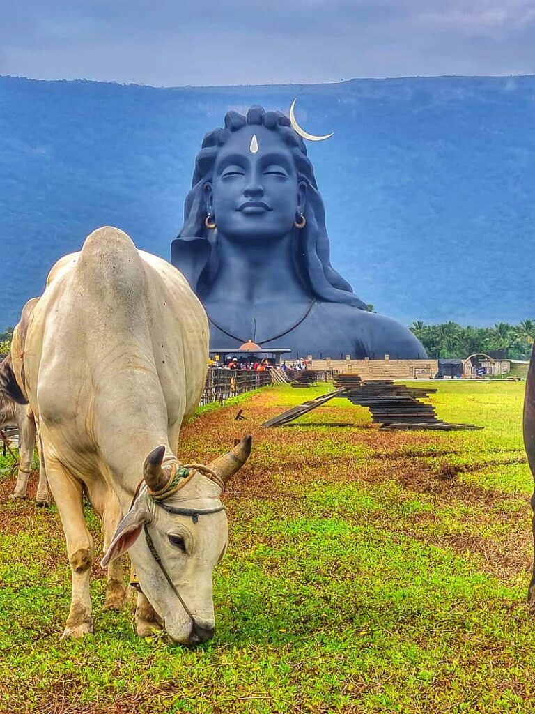 [45+] Adiyogi Images, Photos, Pics & Wallpaper (HD) - PhotosFile