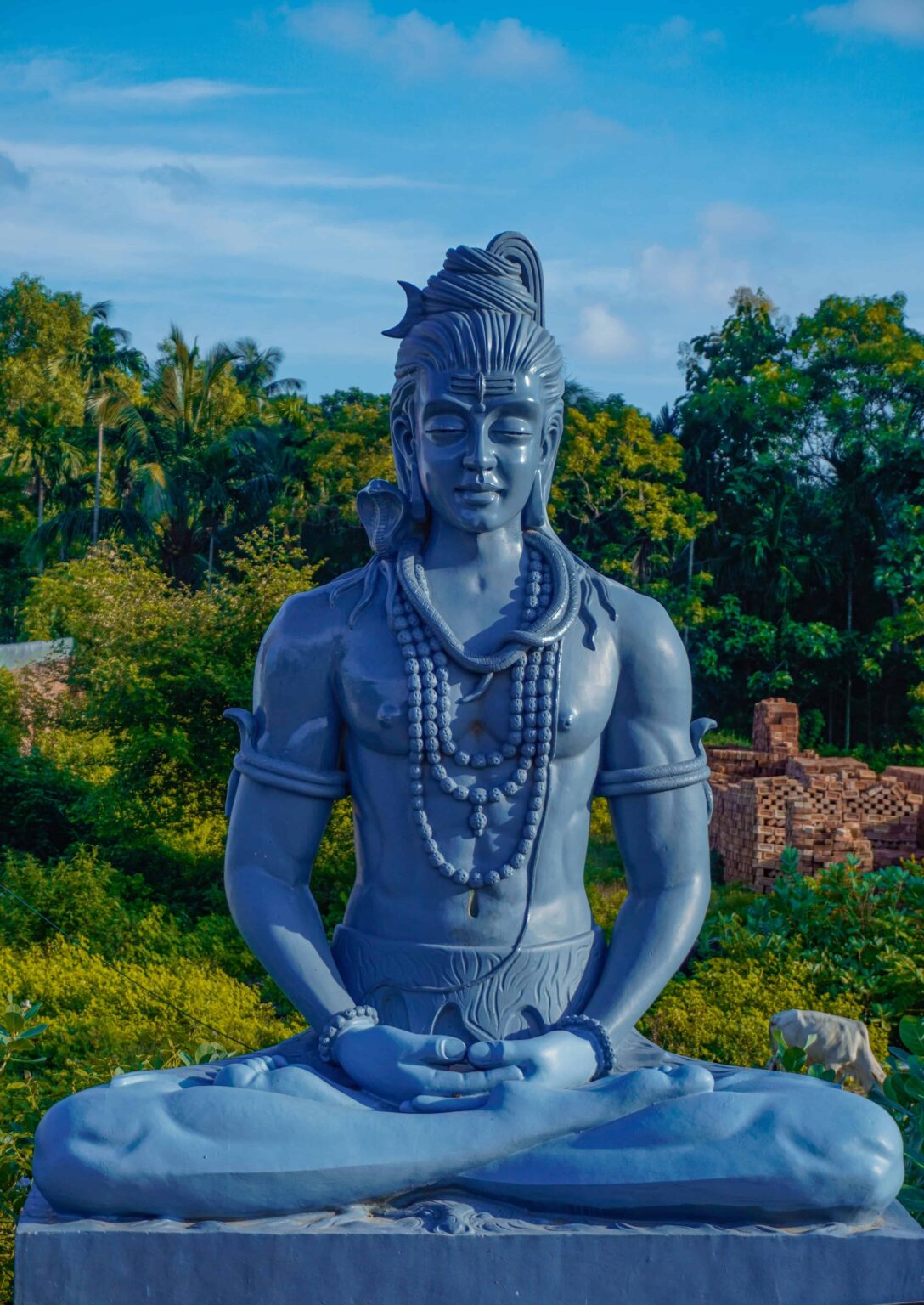 [45+] Adiyogi Images, Photos, Pics & Wallpaper (HD) - PhotosFile