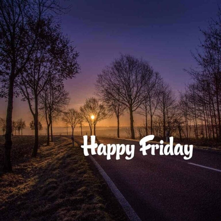 [90+] Happy Friday Images, Photos, Pics & Wallpaper (HD)