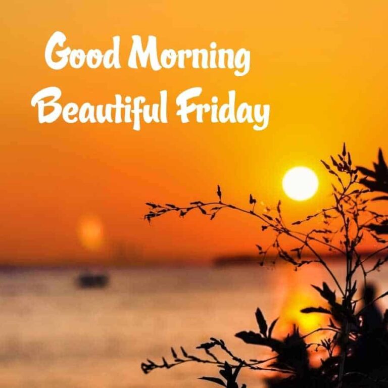 [90+] Happy Friday Images, Photos, Pics & Wallpaper (HD)