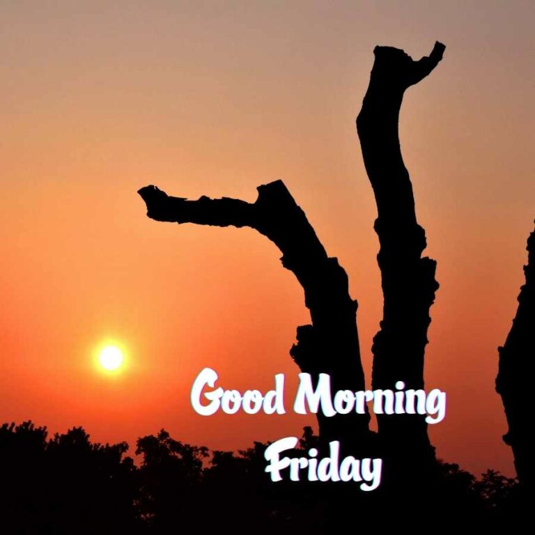 [90+] Happy Friday Images, Photos, Pics & Wallpaper (HD)