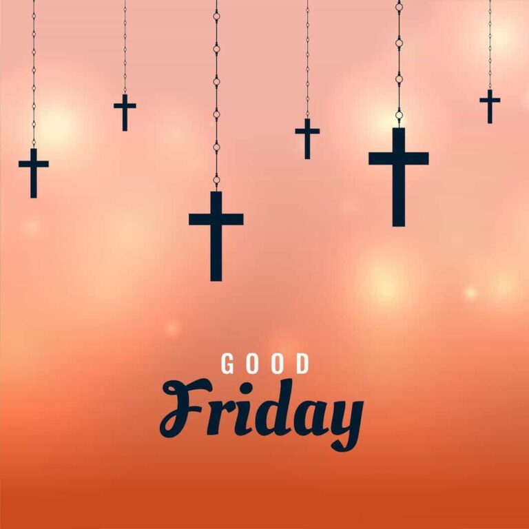 [90+] Happy Friday Images, Photos, Pics & Wallpaper (HD)