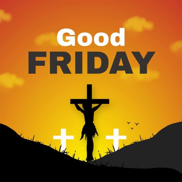 [90+] Happy Friday Images, Photos, Pics & Wallpaper (HD)