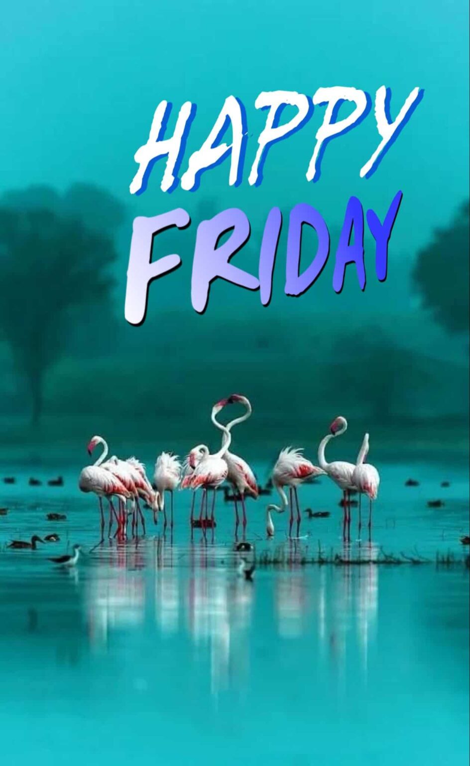 [90+] Happy Friday Images, Photos, Pics & Wallpaper (HD)