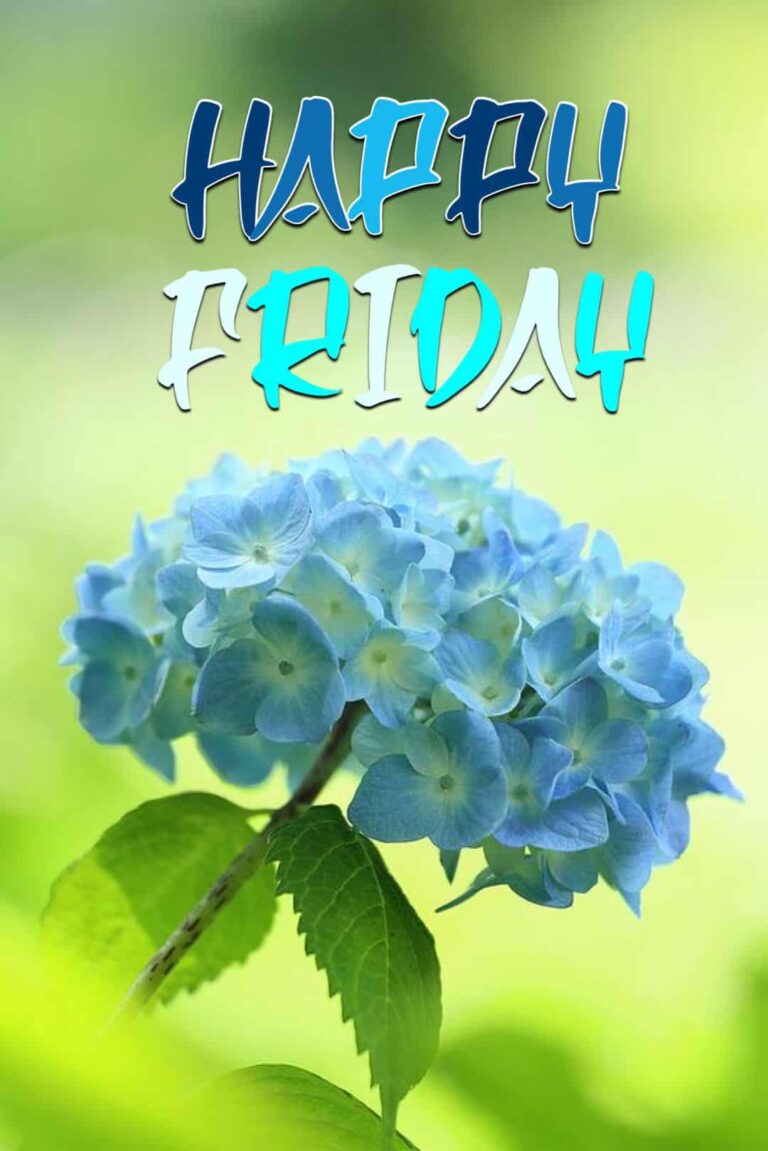 [90+] Happy Friday Images, Photos, Pics & Wallpaper (HD)