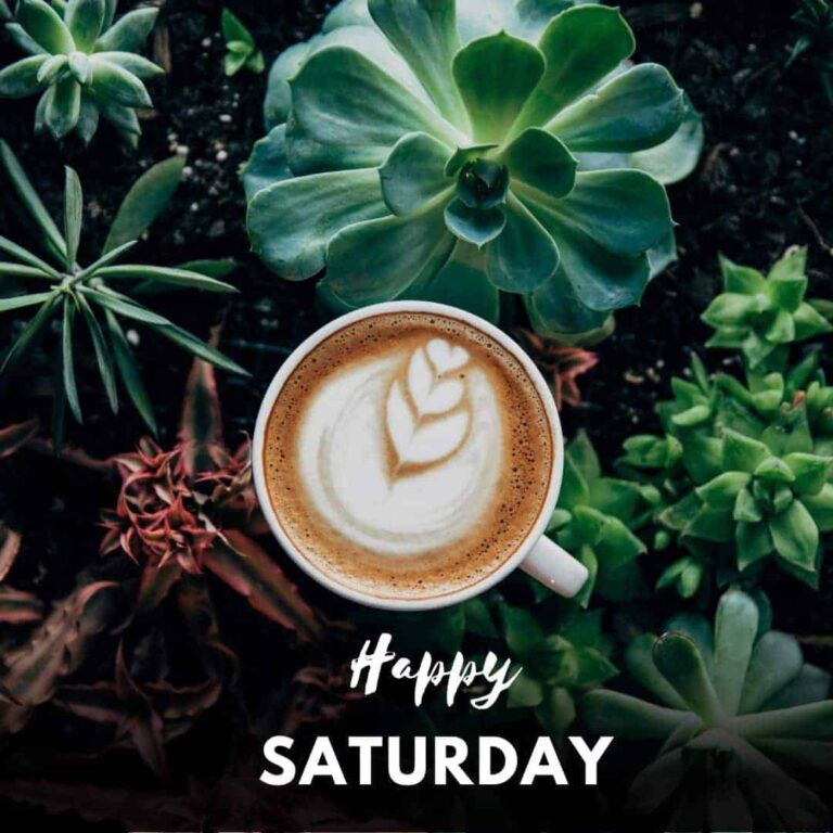 [50+] Happy Saturday Images, Photos, Pics & Wallpaper (HD)